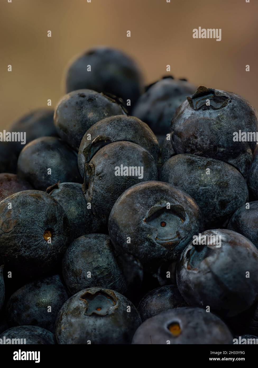 Healthy Blueberries, fruit still-life Stock Photo - Alamy