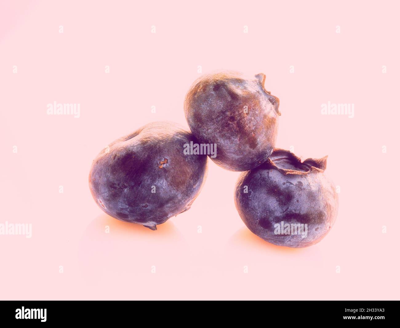 Healthy Blueberries, fruit still-life Stock Photo - Alamy