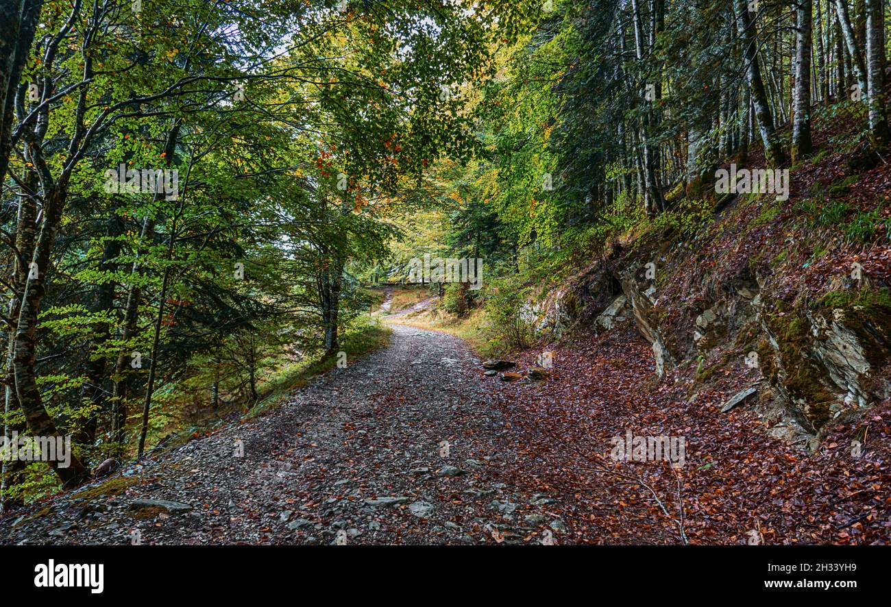 Irati river hi-res stock photography and images - Alamy