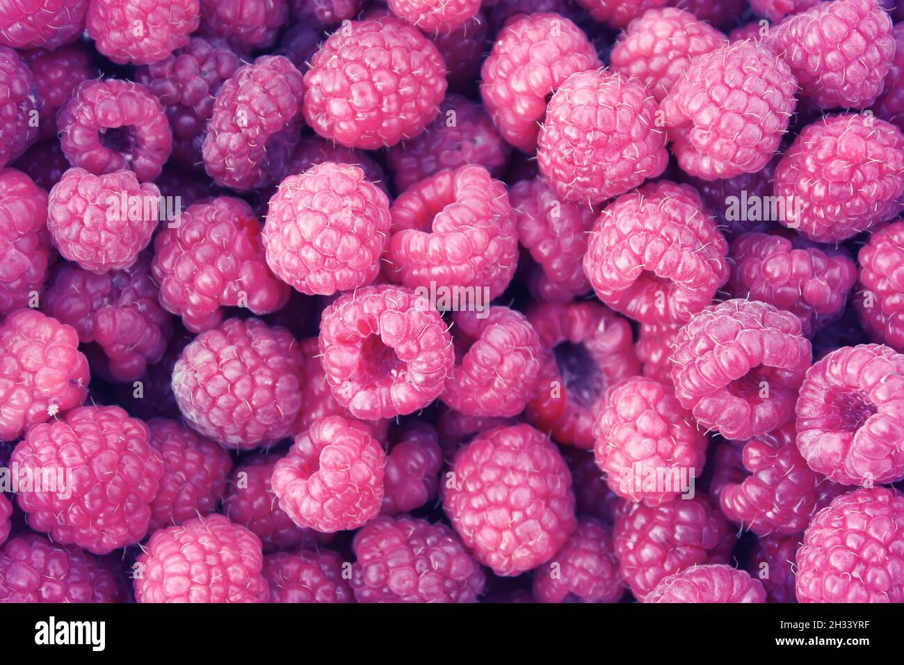 Ripe sweet tasty fresh raspberry close up Stock Photo - Alamy