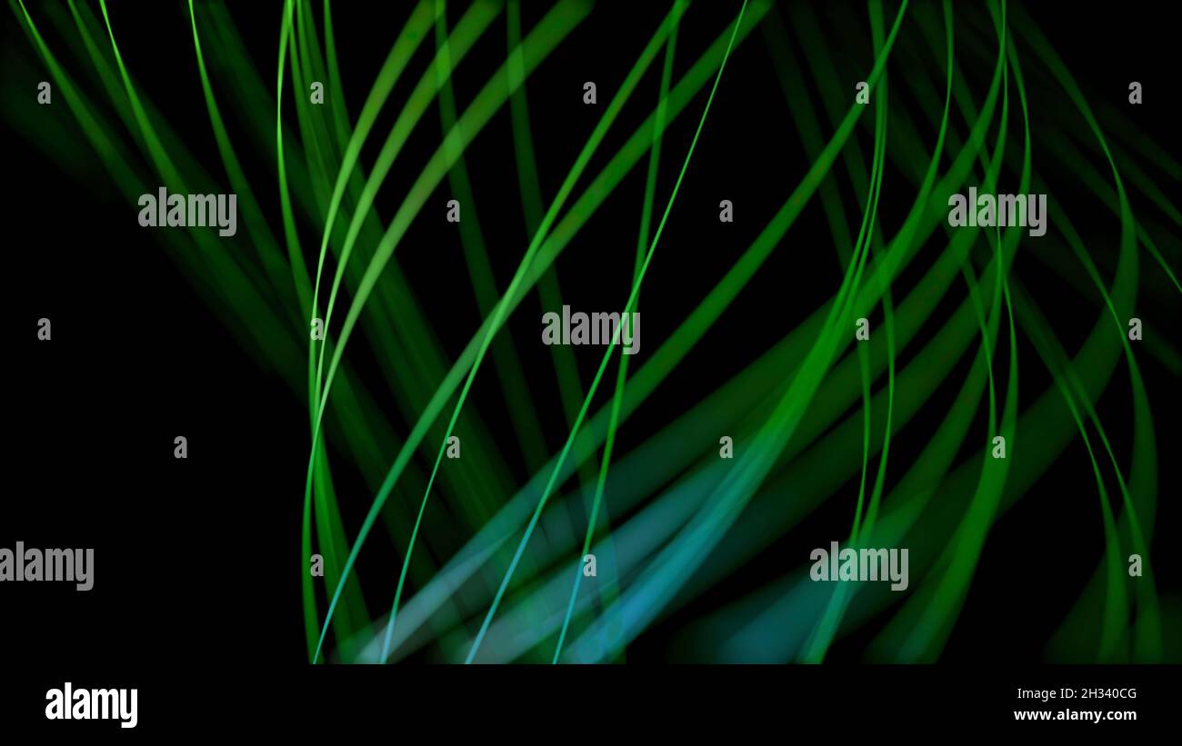 Abstract animation of colored lines on a black background. Animation ...