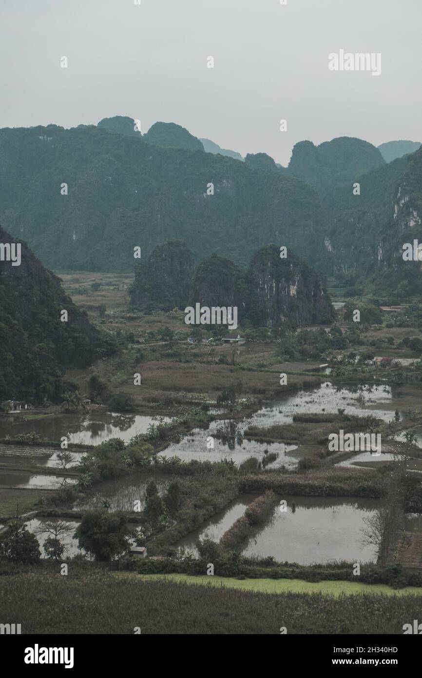 Rocks overgrown with vegetation. The extraordinary nature of Vietnam ...