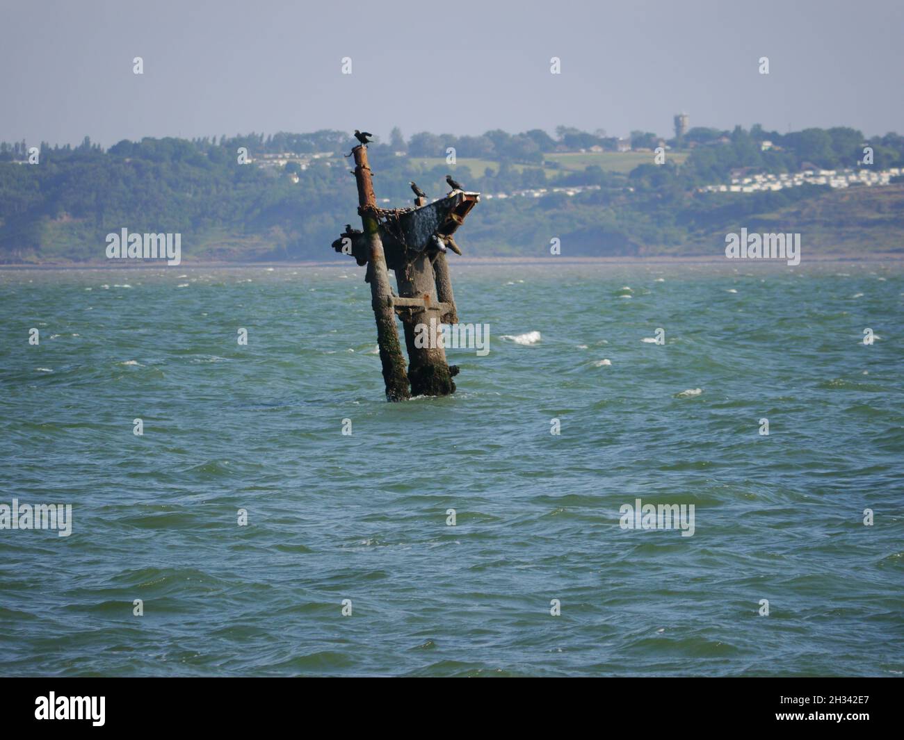 SS Richard Montgomery, Isle of Sheppy, Kent, England Stock Photo - Alamy
