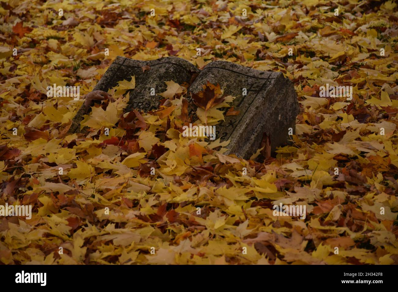 Pierre tombale pierre tombale hi-res stock photography and images - Alamy