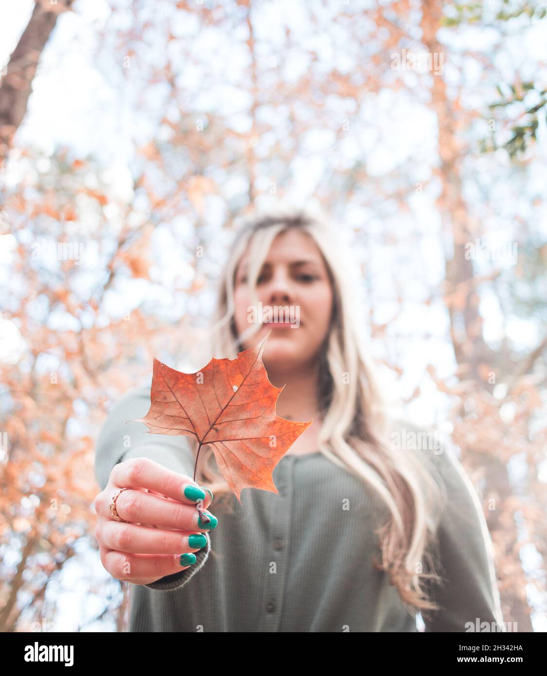 Stylish female model posing in the woods enjoying the fall or autumn ...