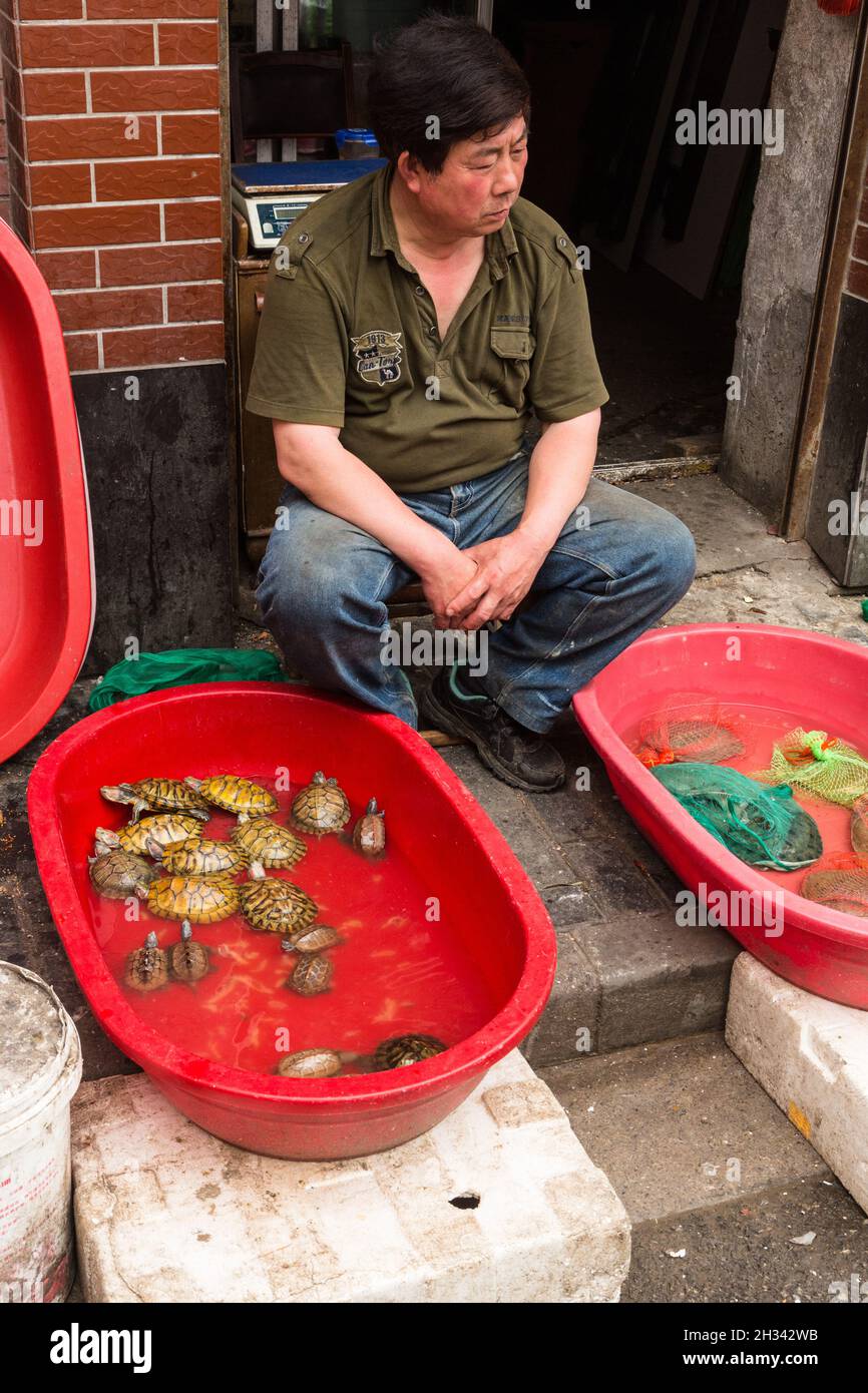 Market turtles hi-res stock photography and images - Alamy