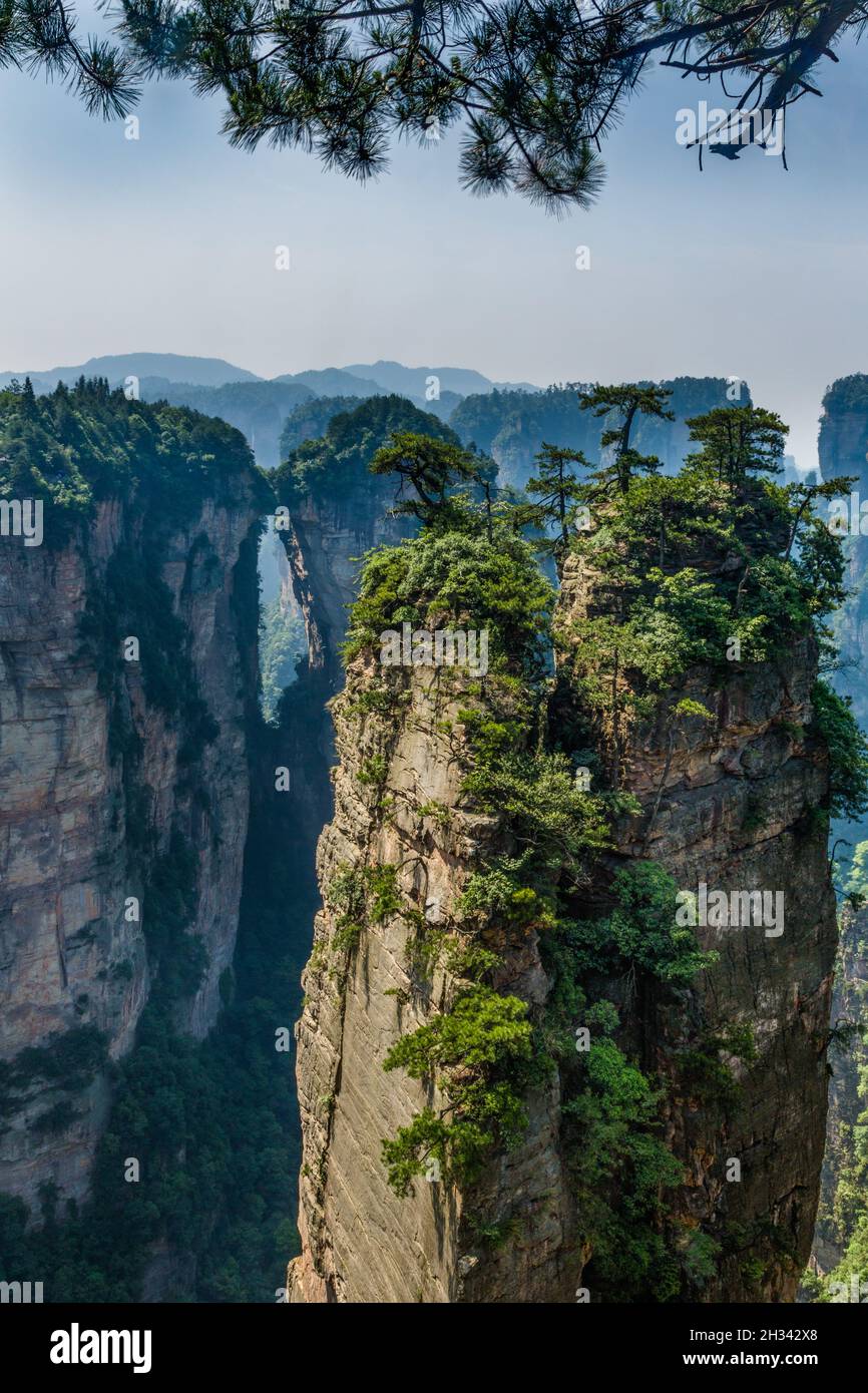 Tian Xia Di Yi Qiao is a natural stone arch in Zhangjiajie National ...