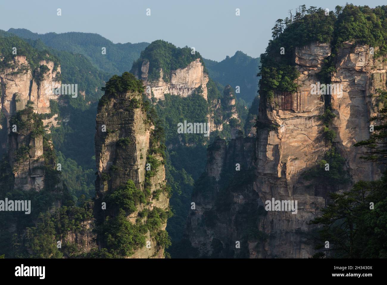 The quartzite sandstone pillars of the Avatar Mountains of Zhangjiajie ...