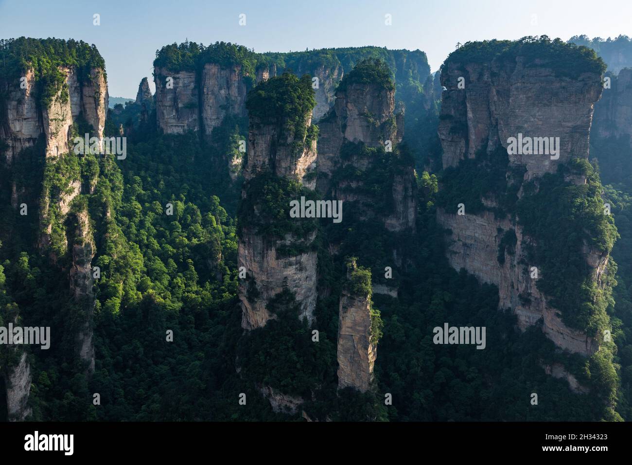 The quartzite sandstone pillars of the Avatar Mountains of Zhangjiajie ...