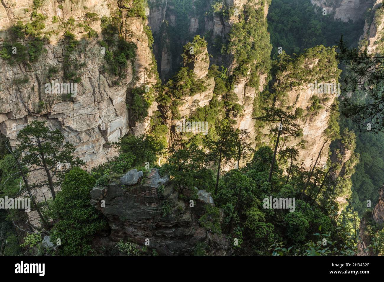 The quartzite sandstone pillars of the Avatar Mountains of Zhangjiajie ...