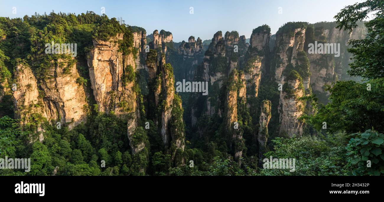 The quartzite sandstone pillars of the Avatar Mountains of Zhangjiajie ...