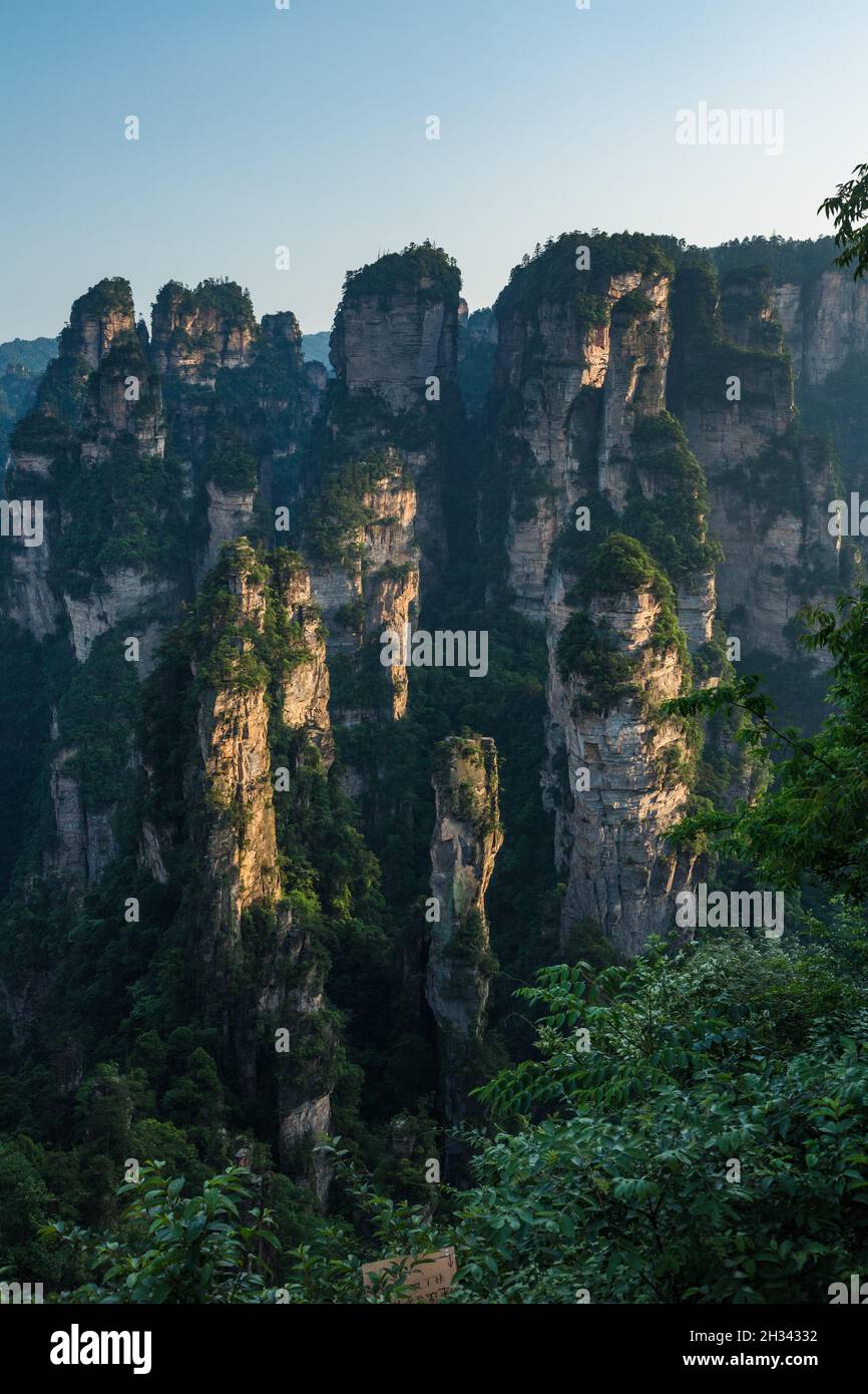 The quartzite sandstone pillars of the Avatar Mountains of Zhangjiajie ...