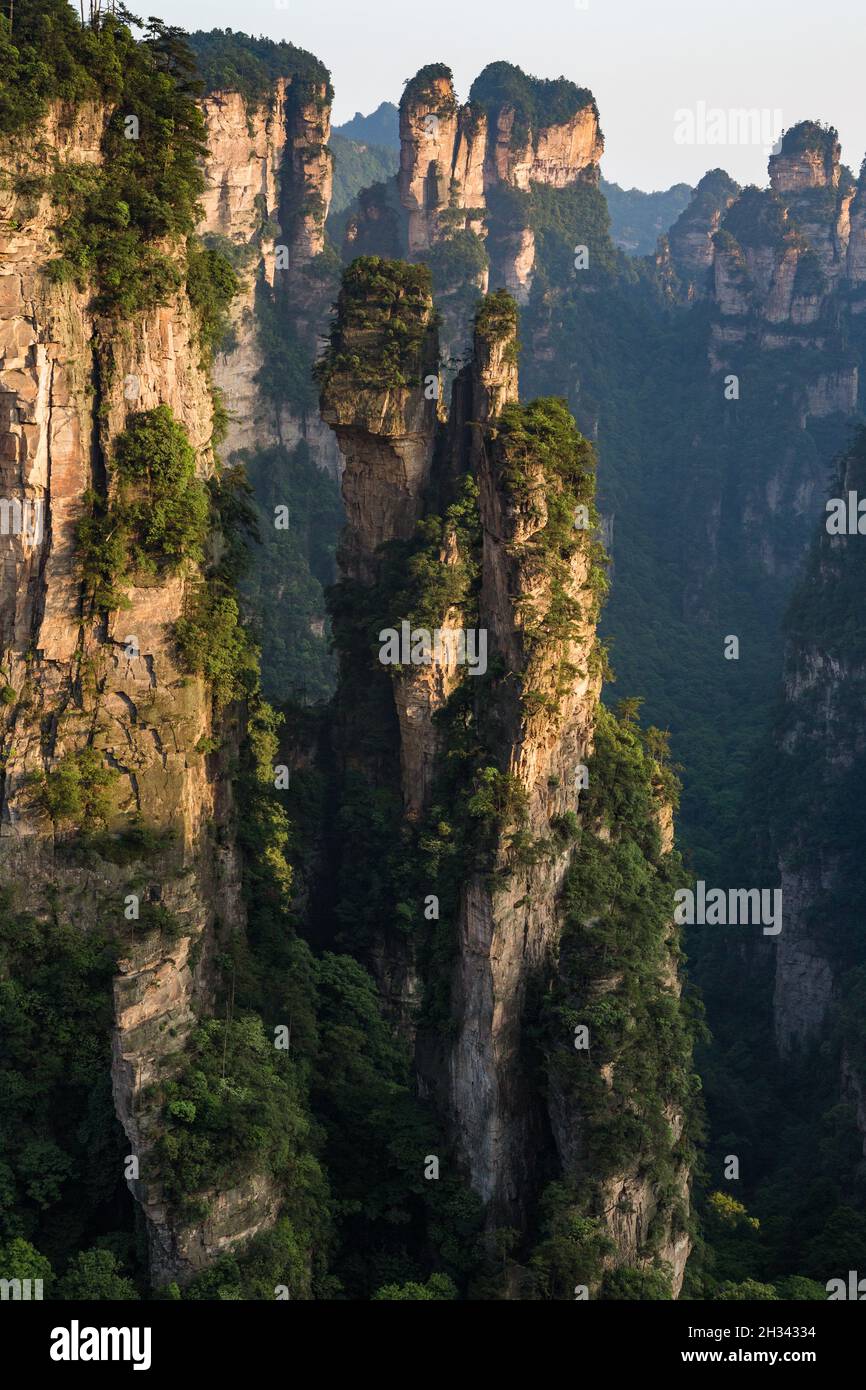 The quartzite sandstone pillars of the Avatar Mountains of Zhangjiajie ...