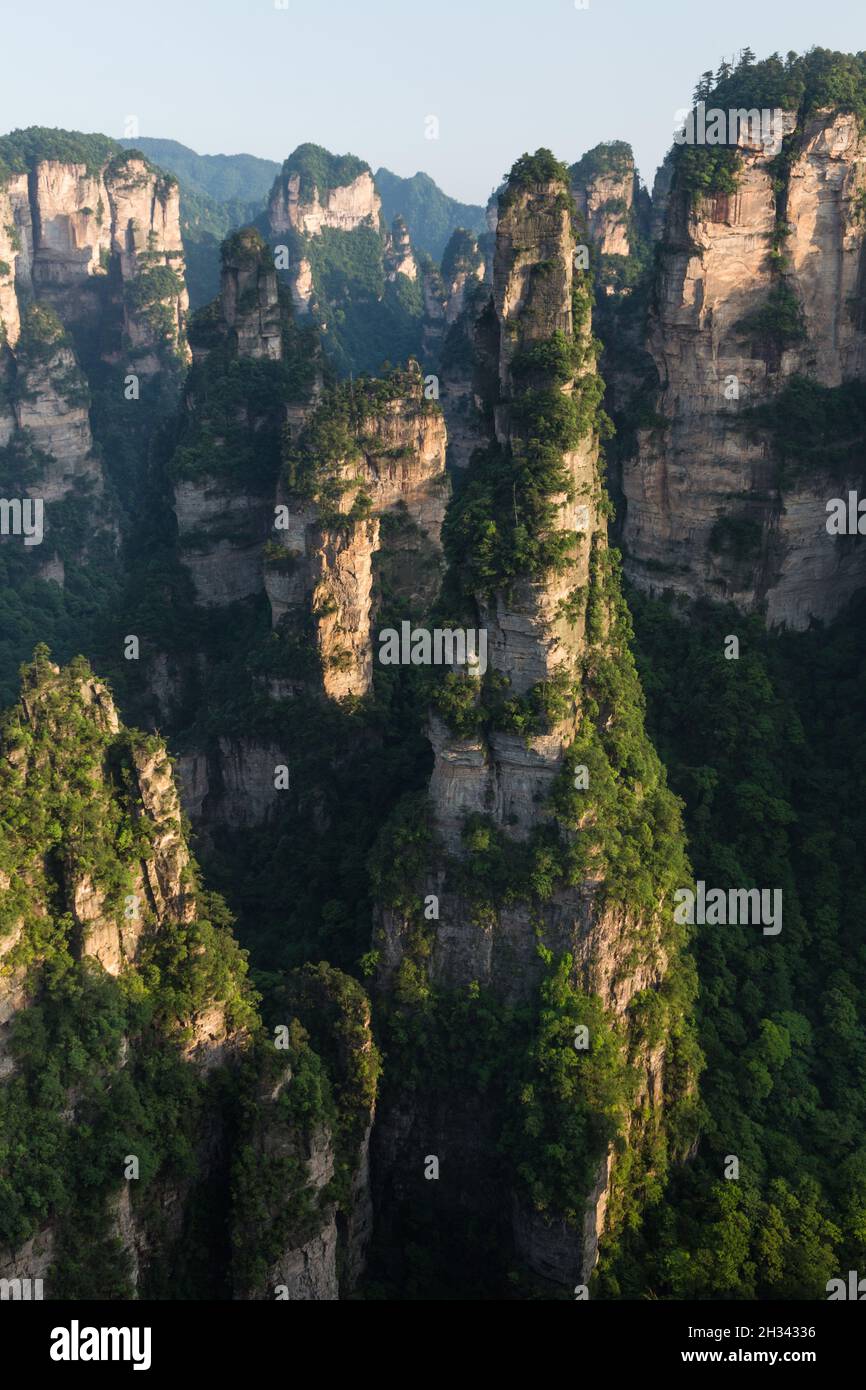 The quartzite sandstone pillars of the Avatar Mountains of Zhangjiajie ...