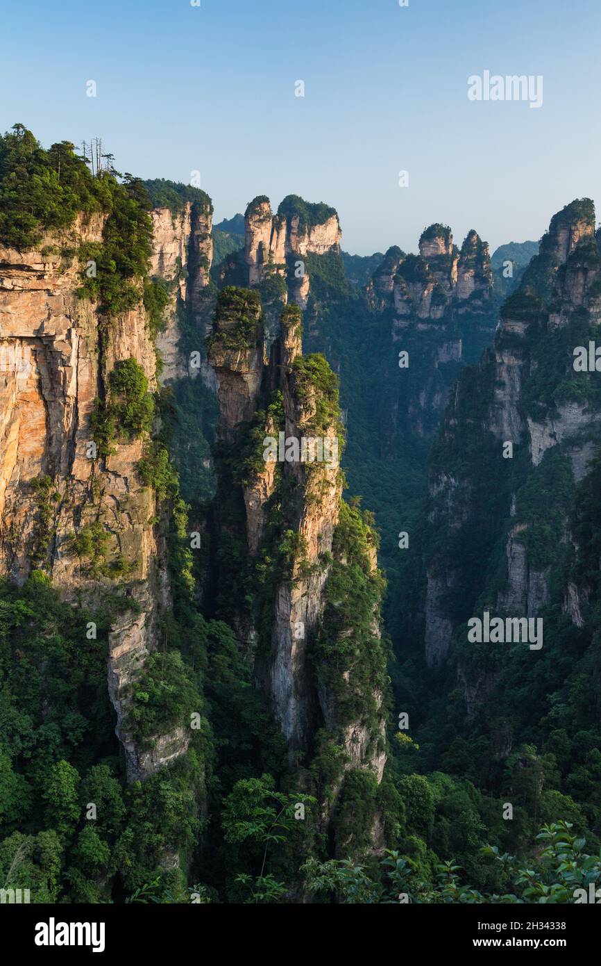 The quartzite sandstone pillars of the Avatar Mountains of Zhangjiajie ...
