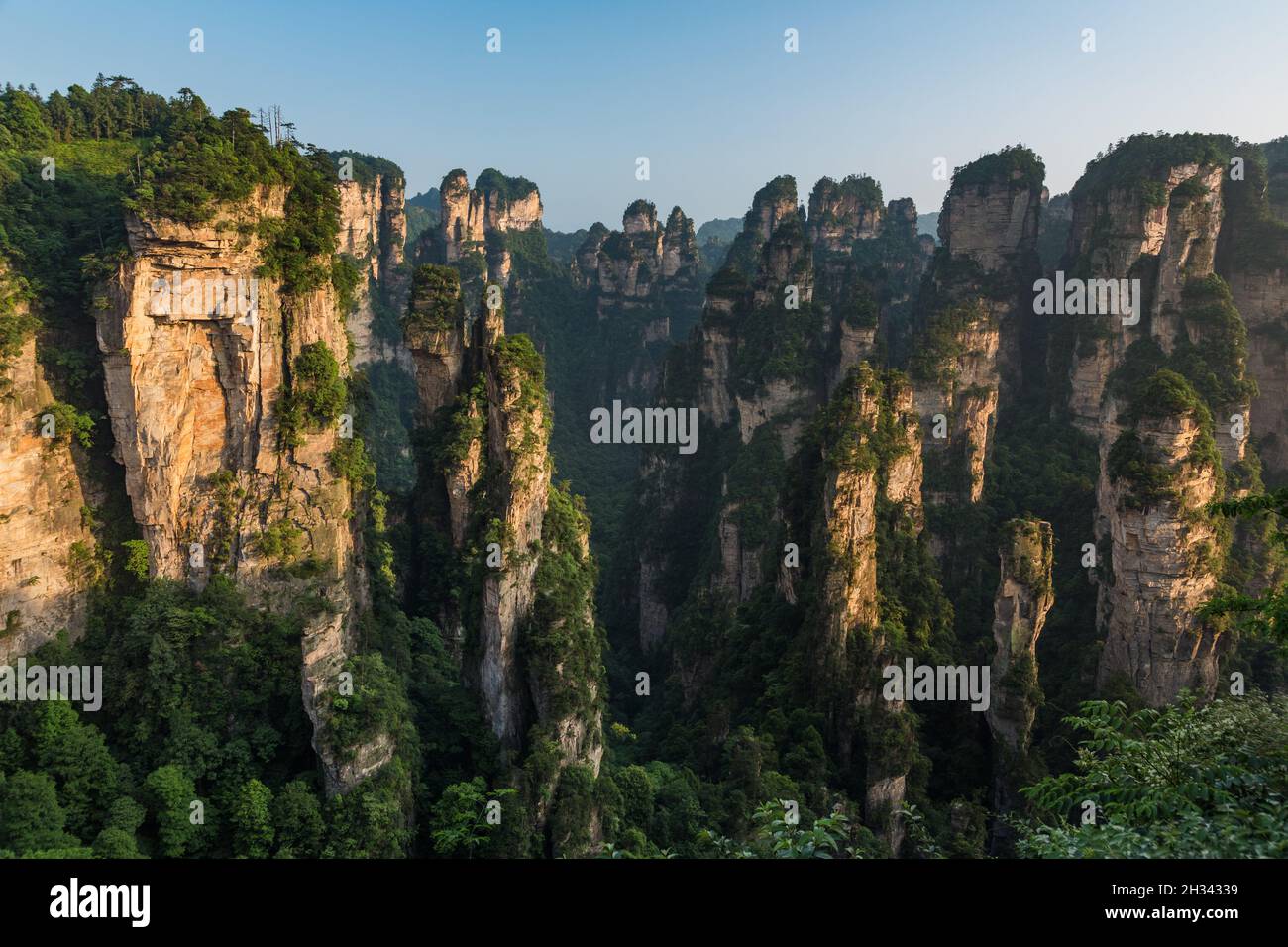 The quartzite sandstone pillars of the Avatar Mountains of Zhangjiajie ...
