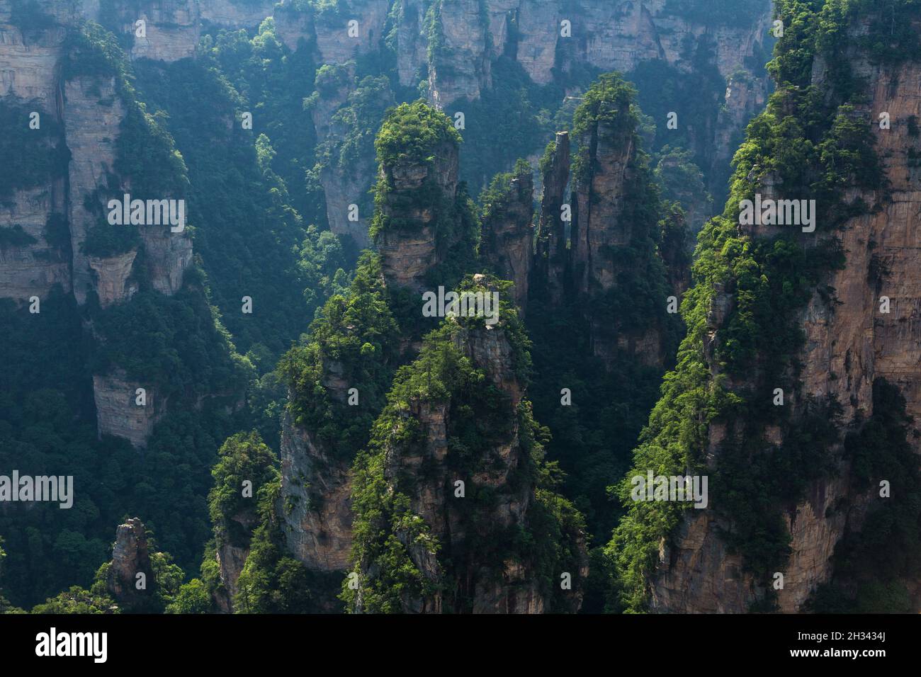 The quartzite sandstone pillars of the Avatar Mountains of Zhangjiajie ...