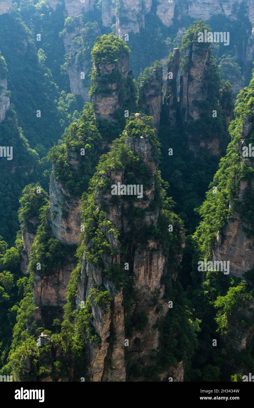 The quartzite sandstone pillars of the Avatar Mountains of Zhangjiajie ...