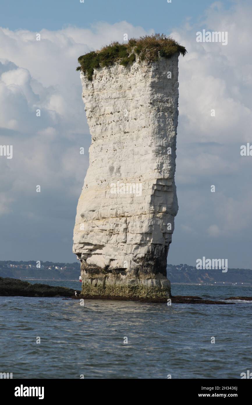 Old harry and his wife rocks hi-res stock photography and images - Alamy