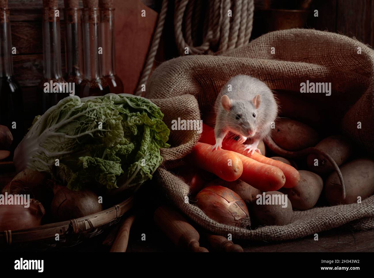 Rat in an old barn with vegetables and kitchen utensils Stock Photo - Alamy