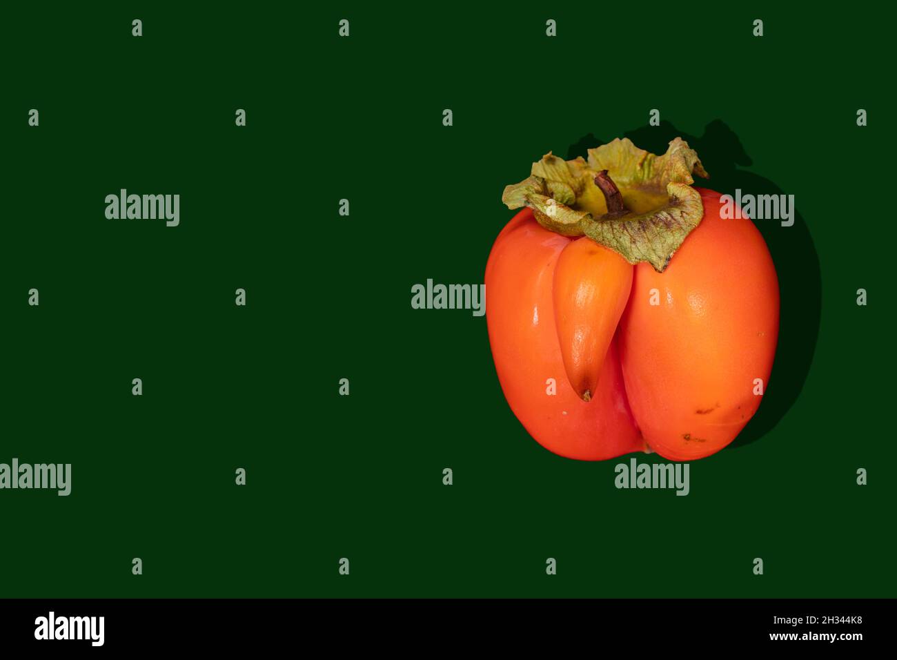One ugly ripe orange persimmon with shadow on dark green background ...