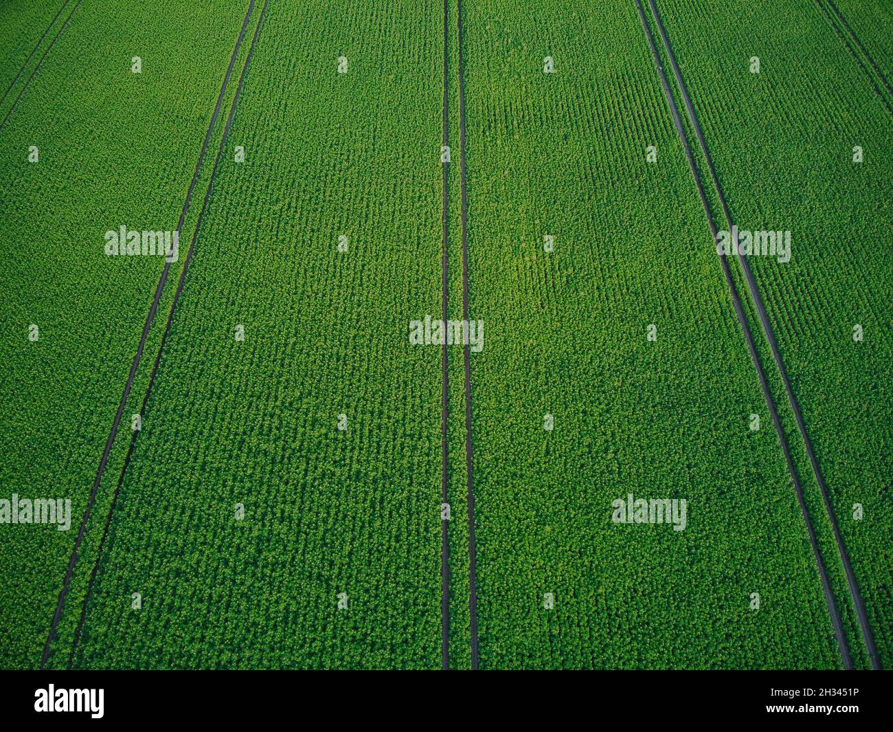 English agriculture hi-res stock photography and images - Alamy