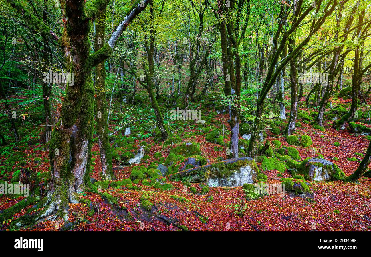 Beginning harmony hi-res stock photography and images - Alamy