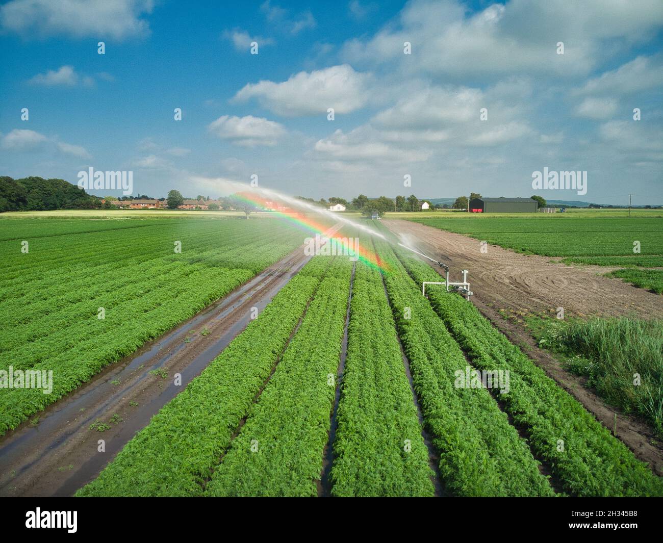 Arable crop irrigation system Stock Photo - Alamy