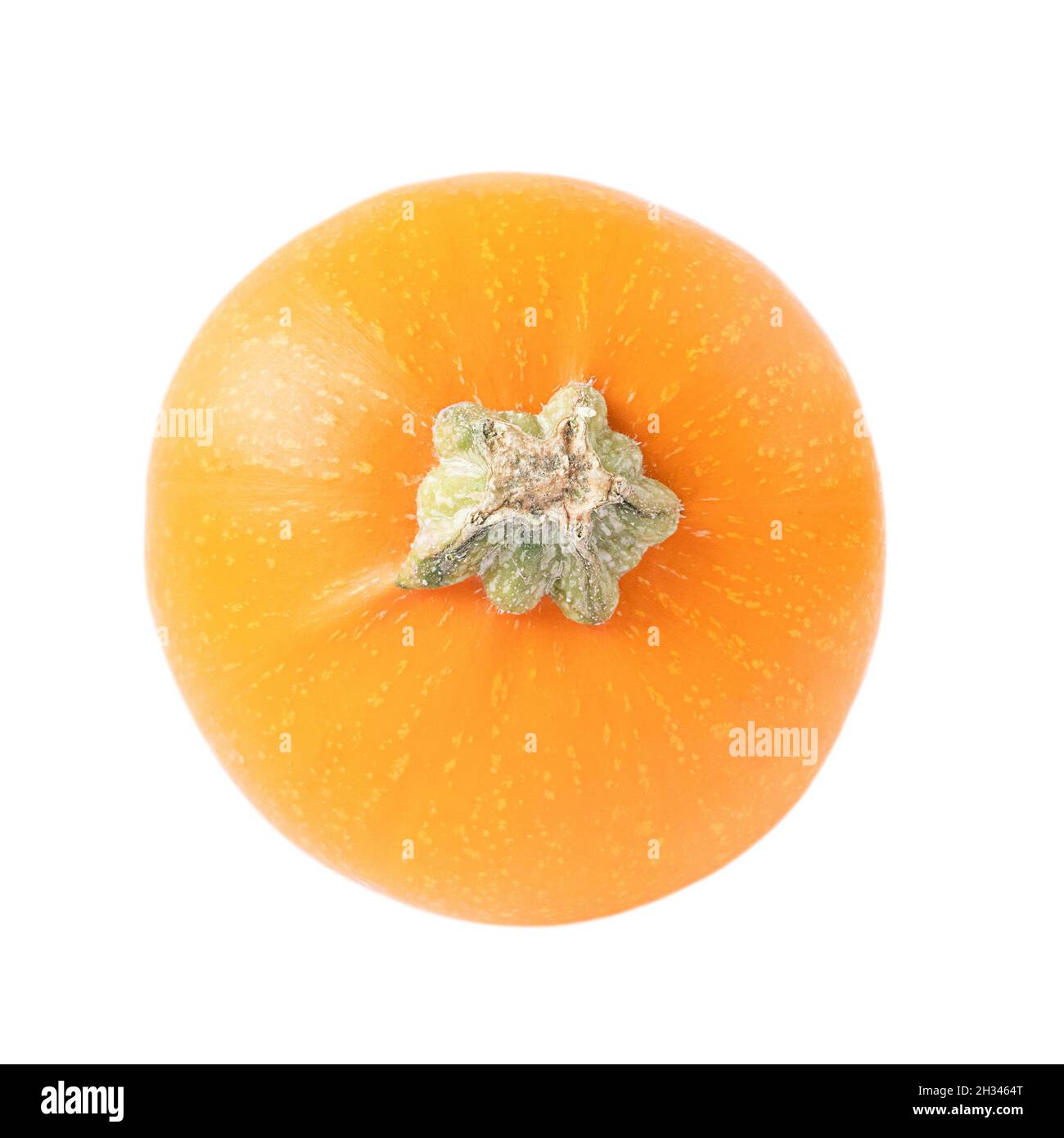 Top view orange autumn Cut Out Stock Images & Pictures - Alamy