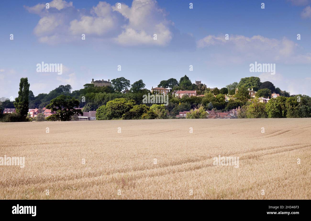 Wheat Fields at Crayke York North Yorkshire Stock Photo - Alamy