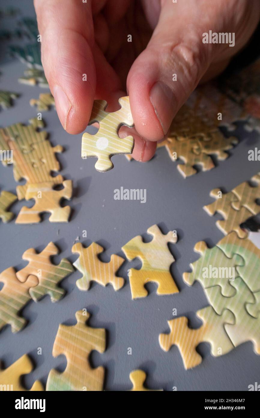 Jigsaw puzzle pieces in progress hi-res stock photography and images ...