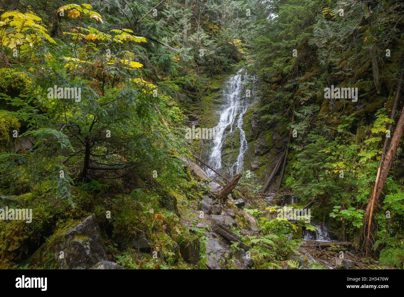 Inland Rainforest Waterfalls 4 Incredible Waterfalls To See In Koh