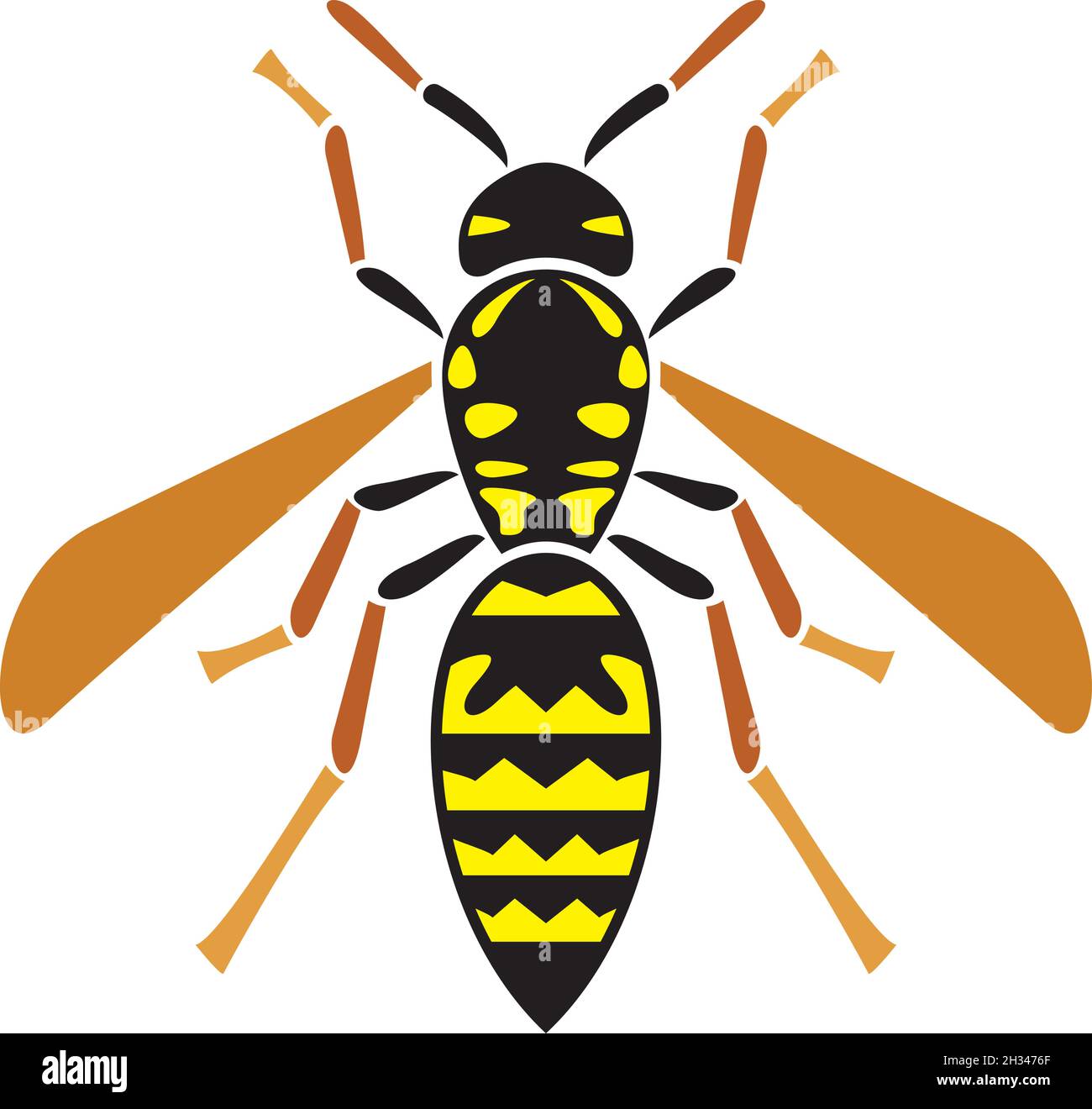 Wasp vector illustration Stock Vector Image & Art - Alamy