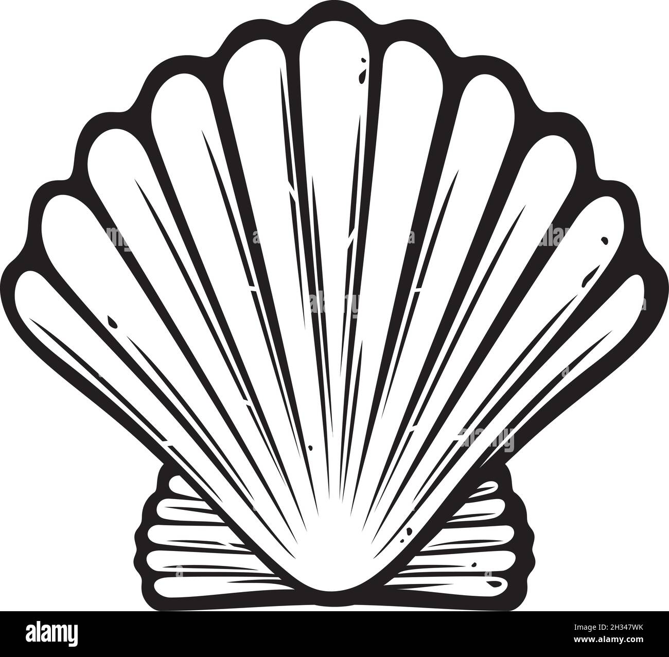 Seashell vector illustration Stock Vector Image & Art - Alamy