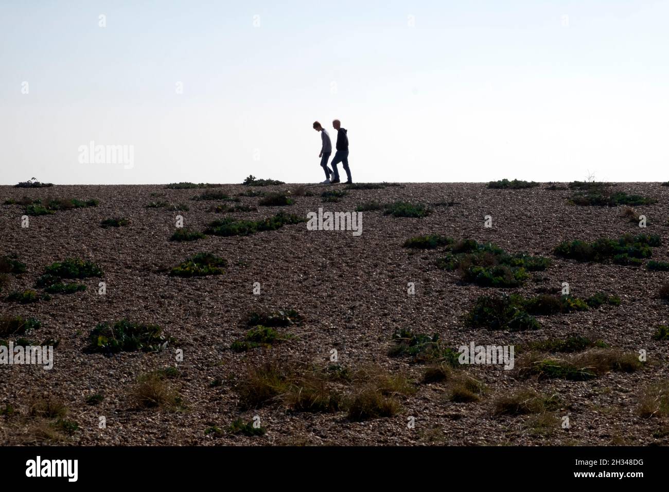 Silhouette two young men teens friends walking together on horizon on ...