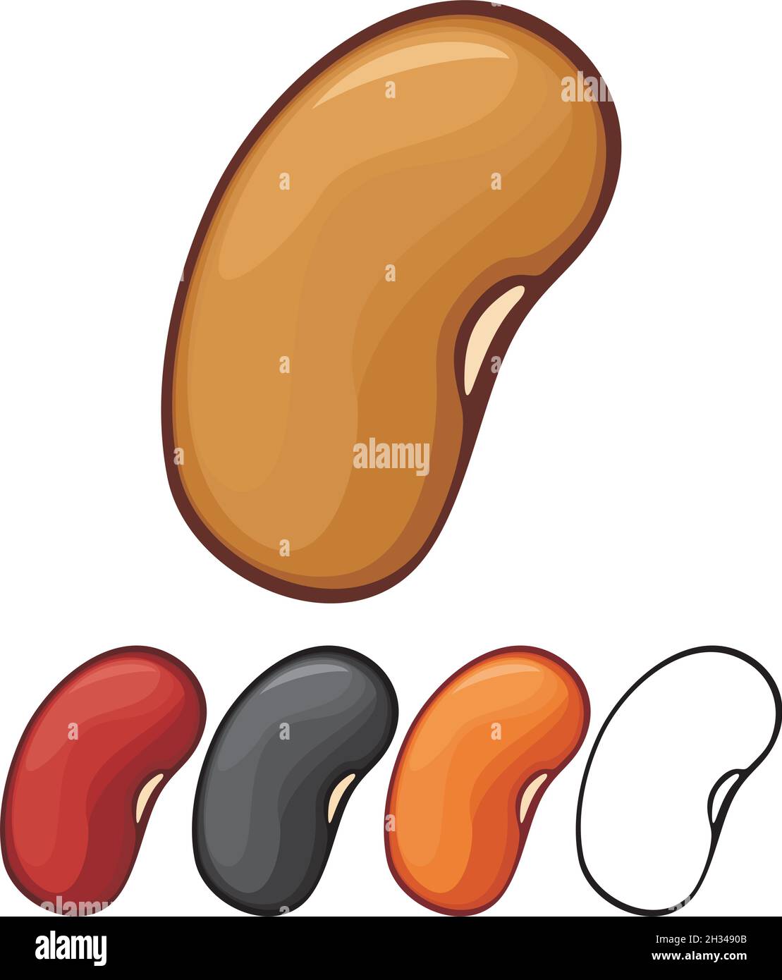 Beans vector illustration Stock Vector Image & Art - Alamy