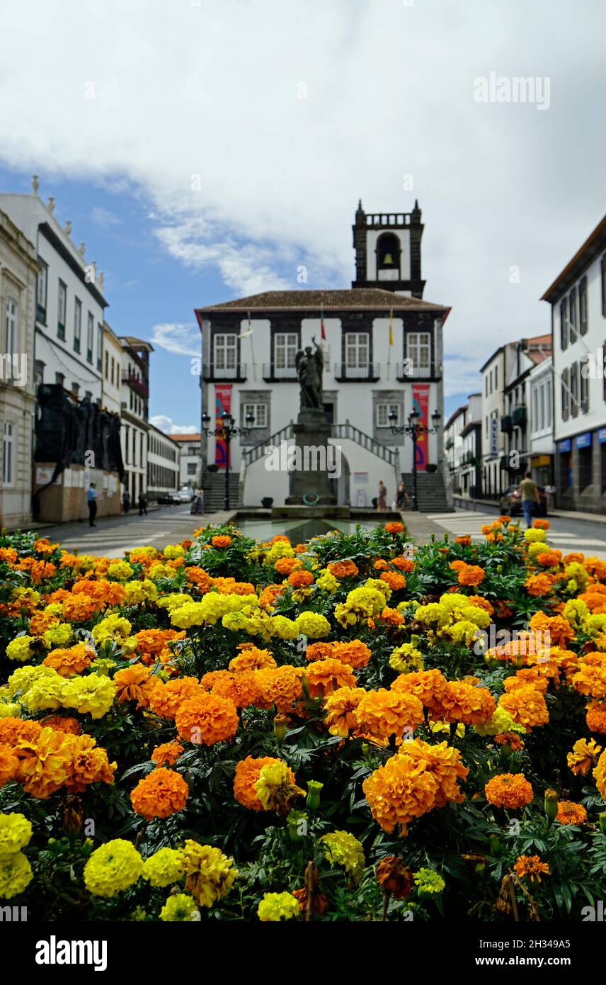 typical building on the azores island sao miguel Stock Photo - Alamy