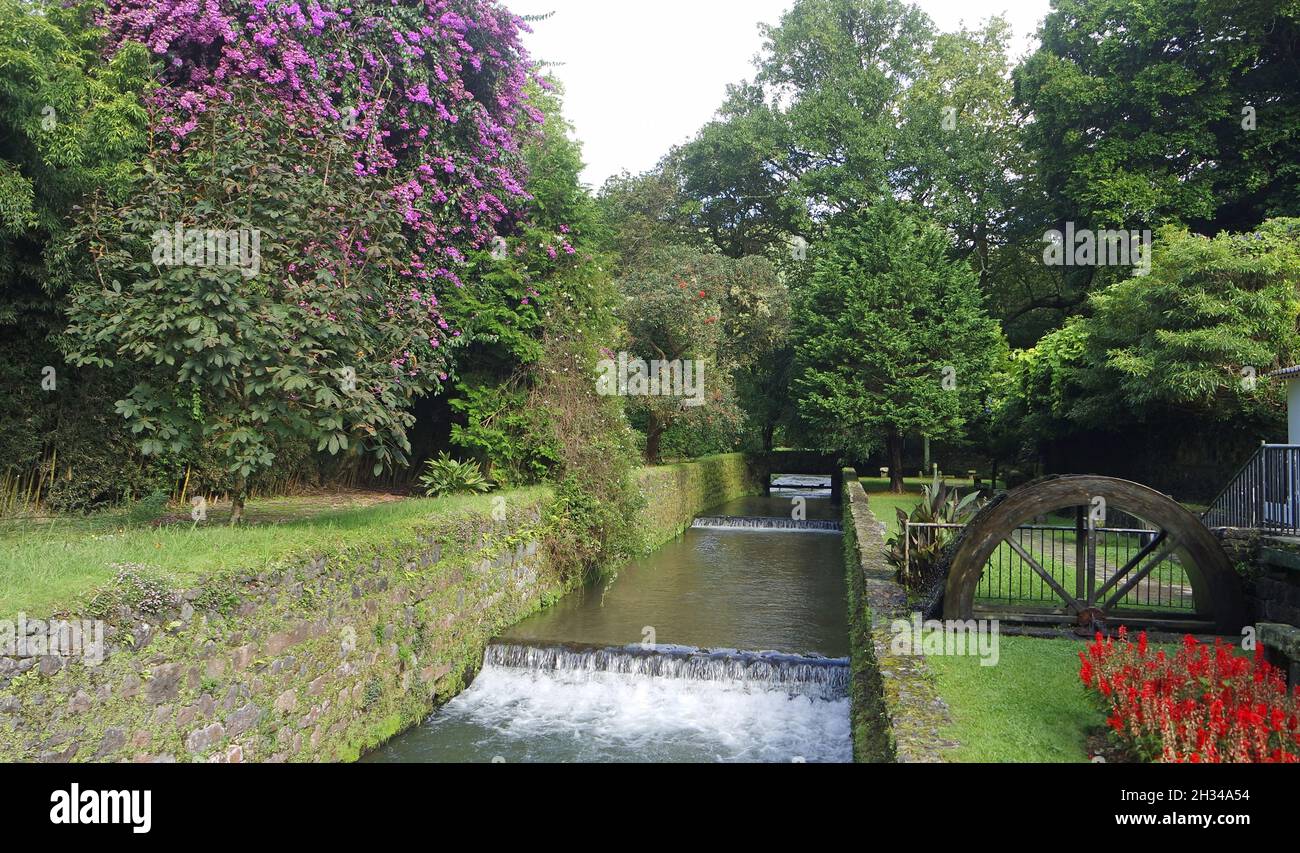 typical building on the azores island sao miguel Stock Photo - Alamy