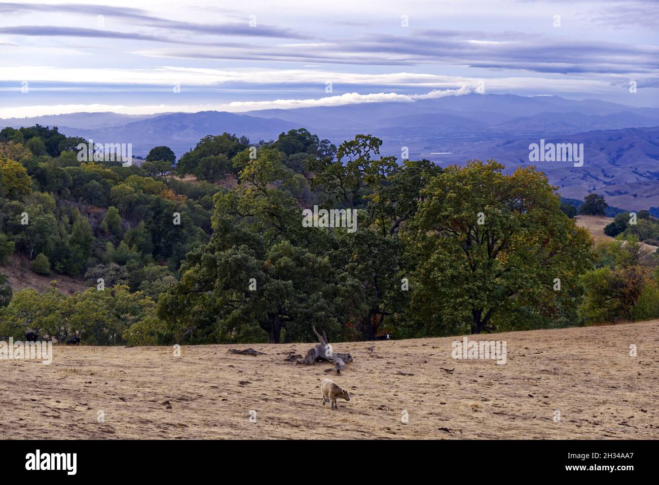 Diablo Mountain Range Stock Photo - Alamy