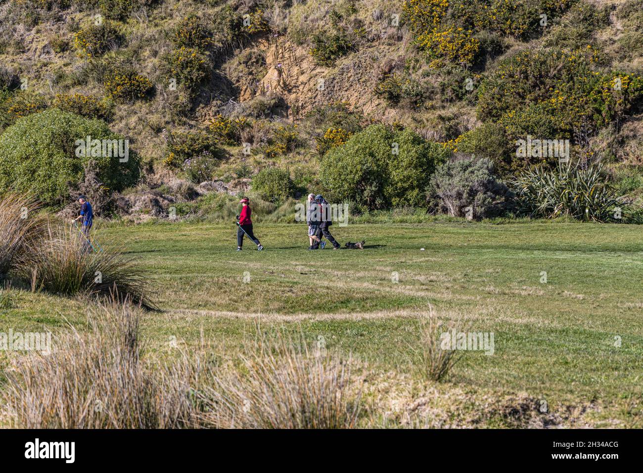 Walkers during lock-down Stock Photo - Alamy