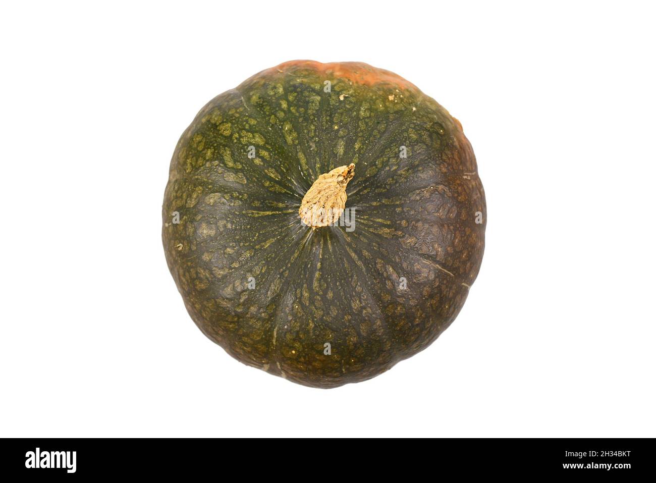 Top view of Green Kuri Kabocha squash on white background Stock Photo ...
