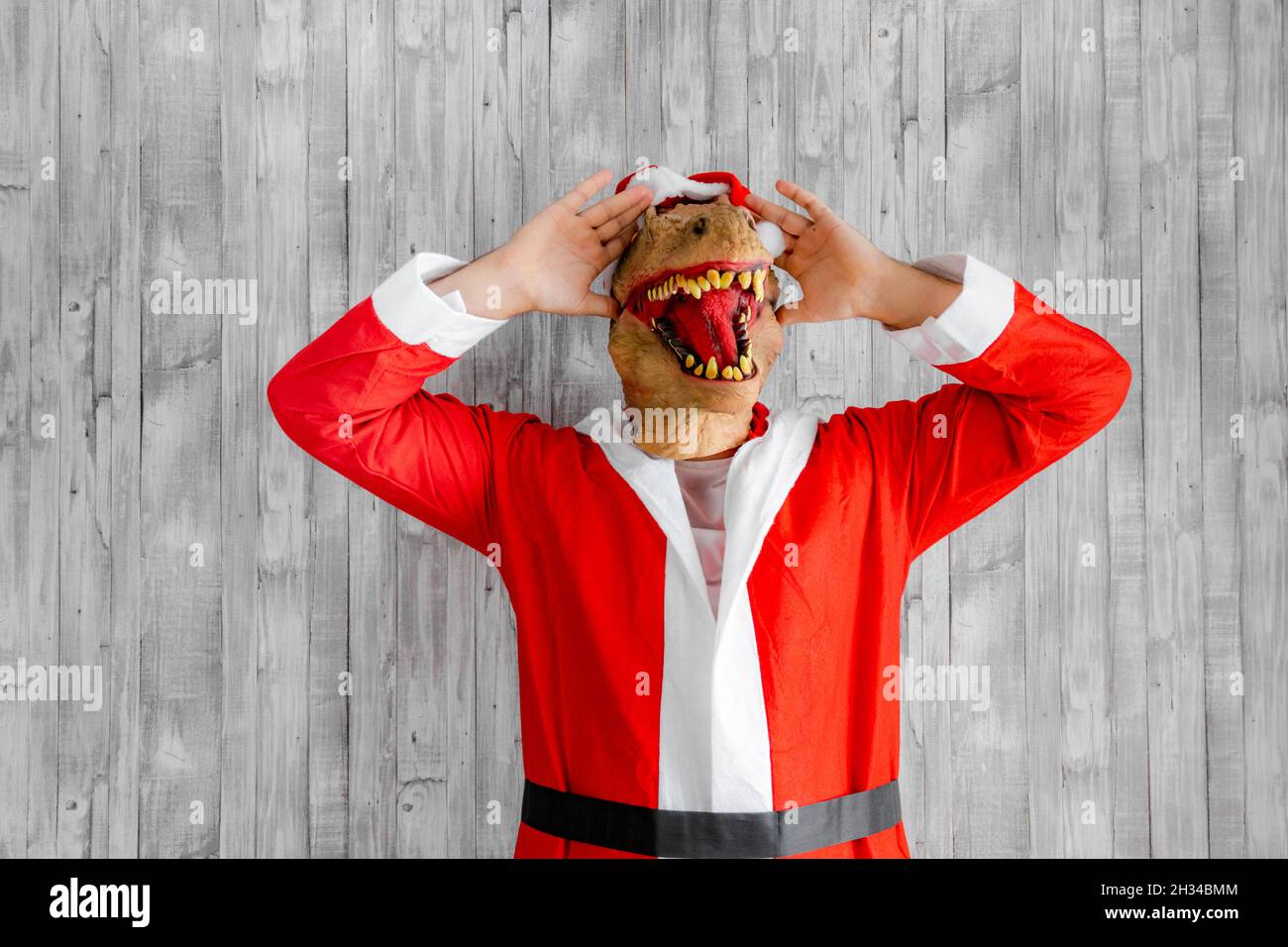 Dinosaur disguised as Santa Claus with hands on head Stock Photo - Alamy