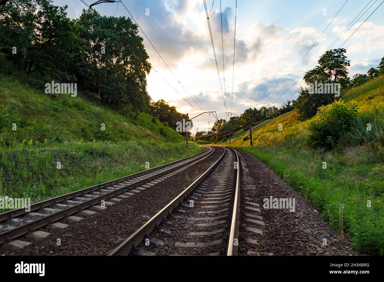 The railway line rails and electric poles and wires in the woodland in sunset time in summer ...