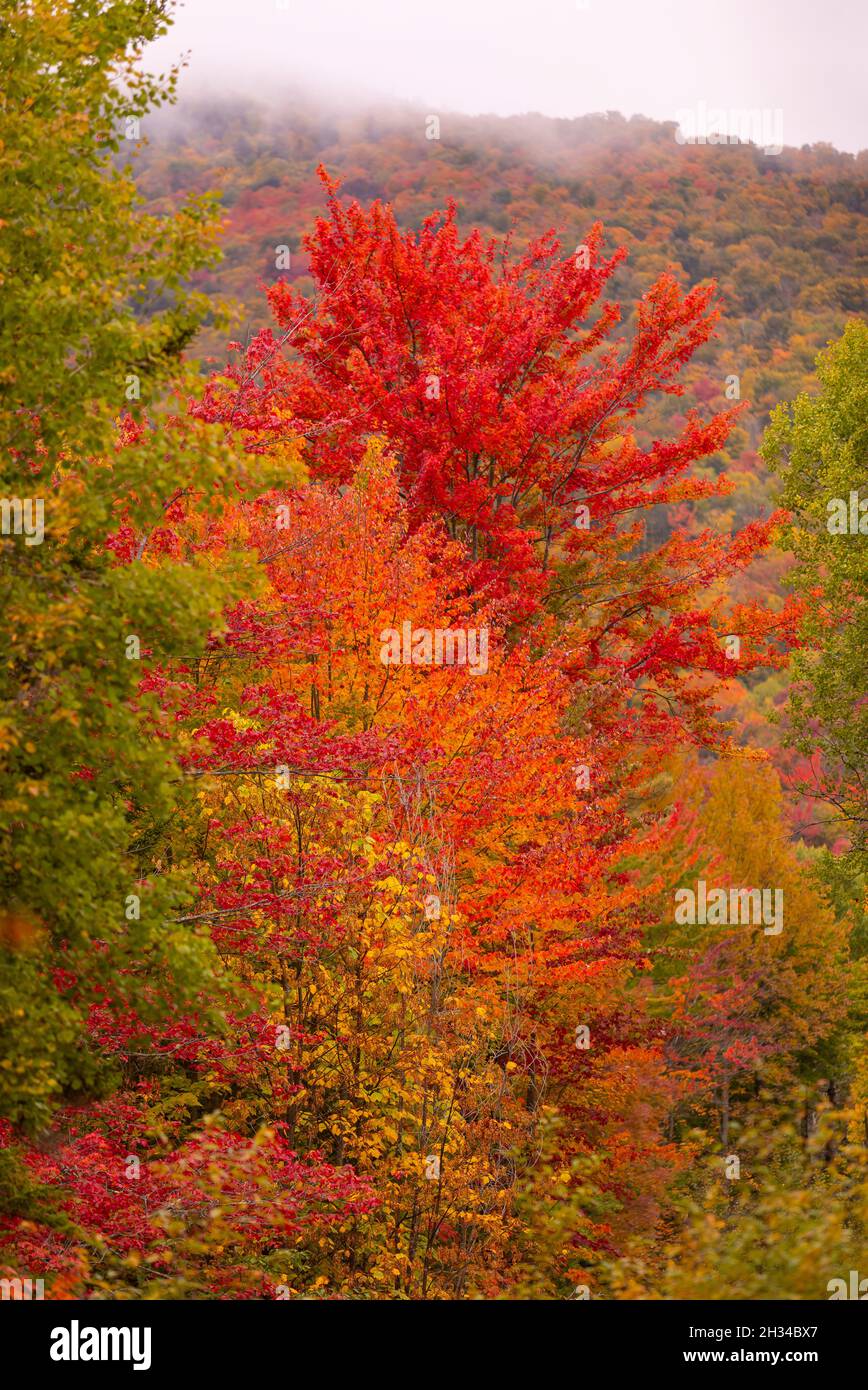 WARREN, VERMONT, USA - Fall foliage, autumn color in Mad River Valley ...