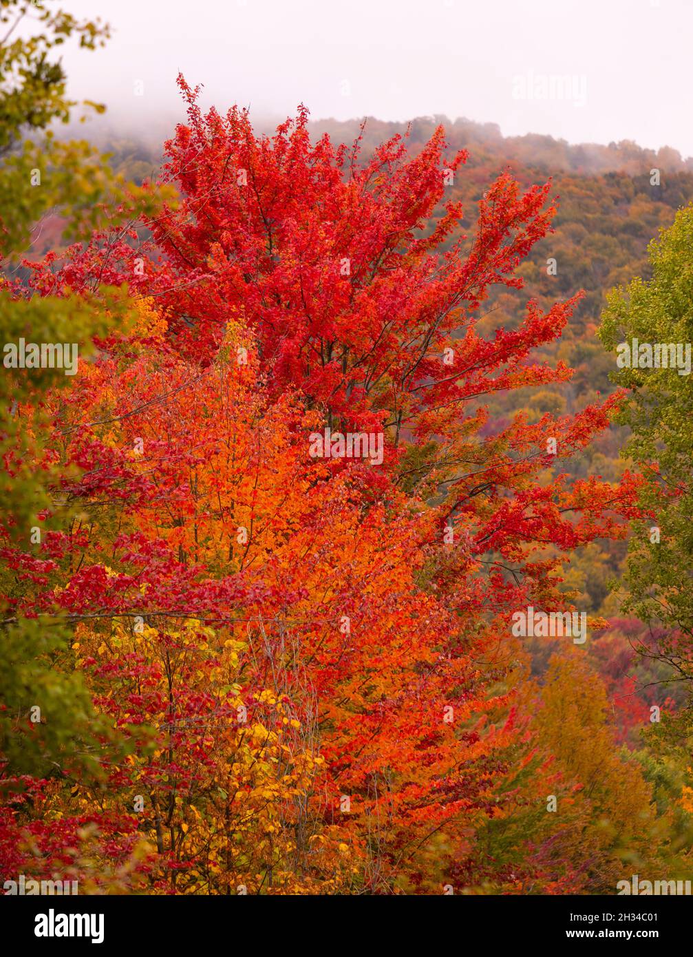WARREN, VERMONT, USA - Fall foliage, autumn color in Mad River Valley ...