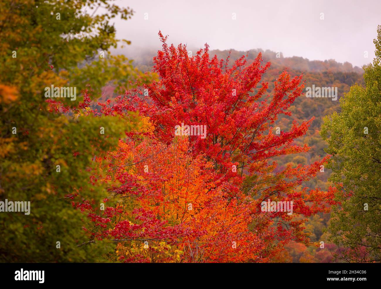WARREN, VERMONT, USA - Fall foliage, autumn color in Mad River Valley ...