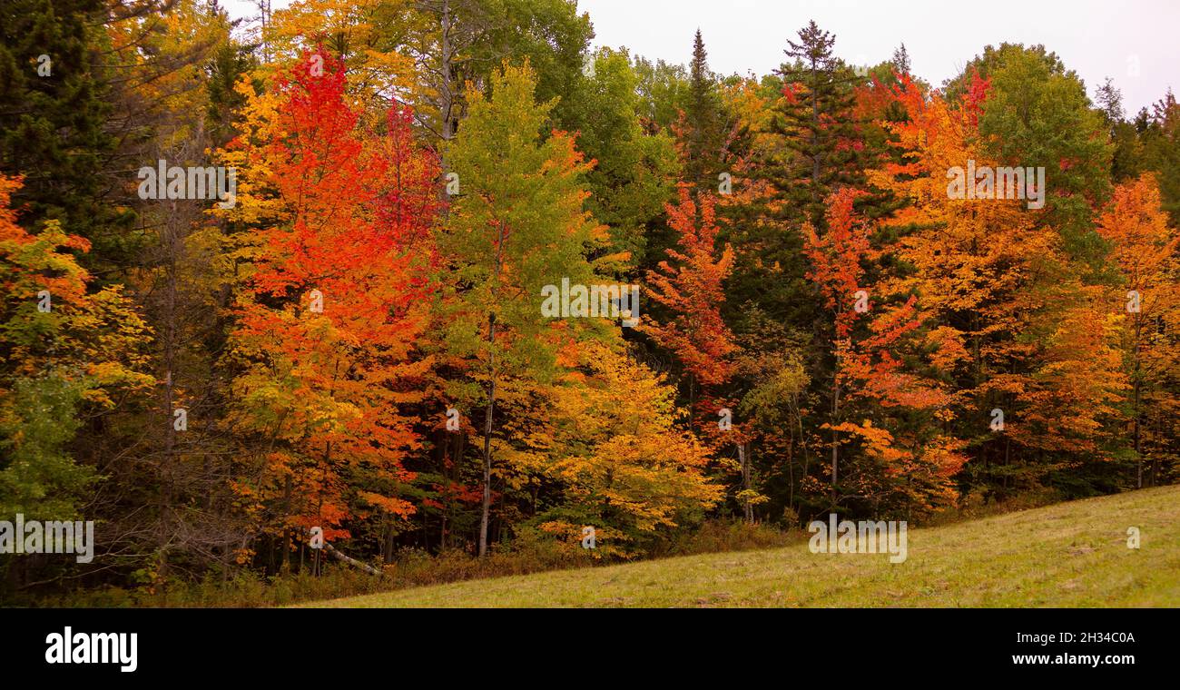 WARREN, VERMONT, USA - Fall foliage, autumn color in Mad River Valley ...