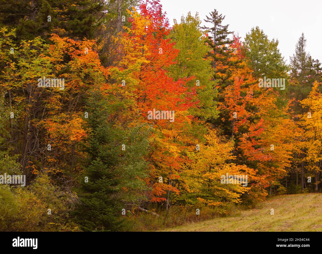 Fall foliage in vermont hi-res stock photography and images - Alamy
