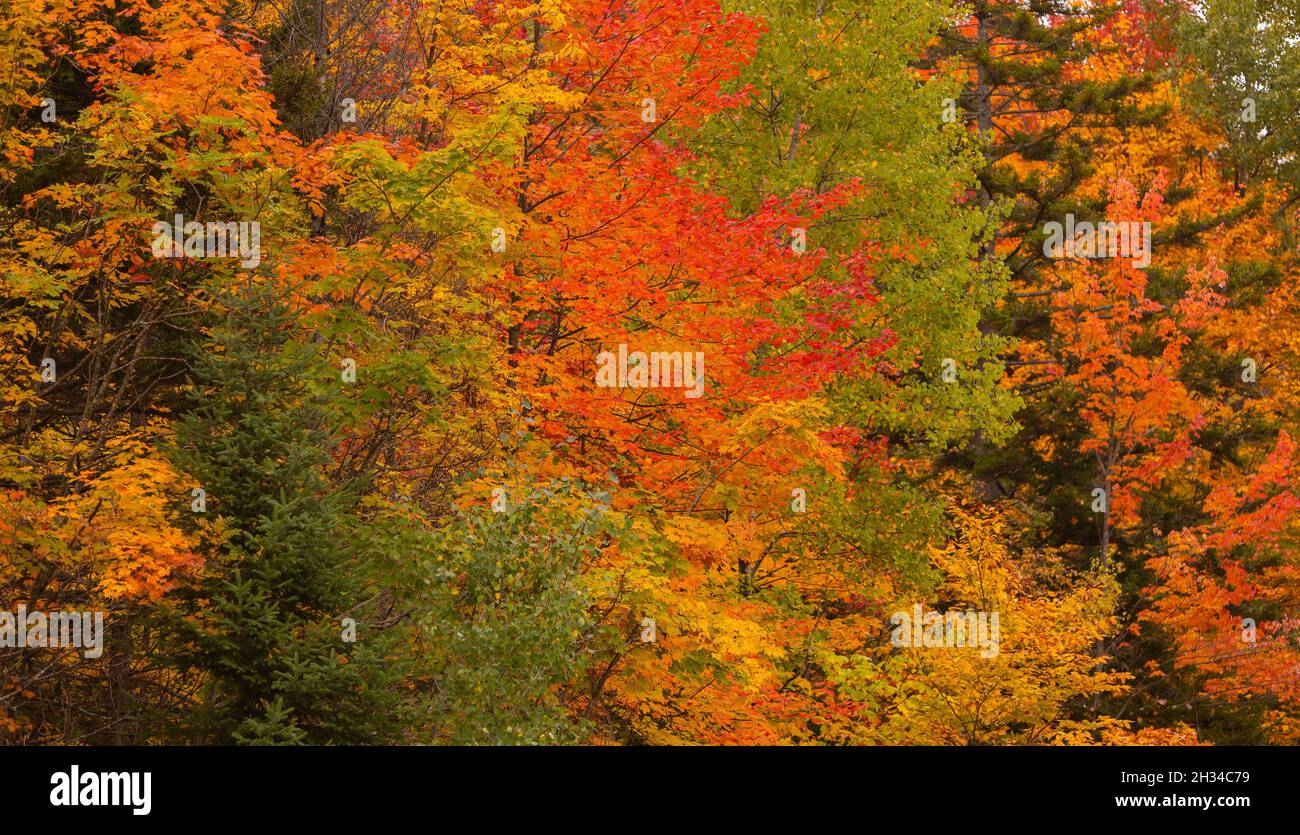 WARREN, VERMONT, USA - Fall foliage, autumn color in Mad River Valley ...