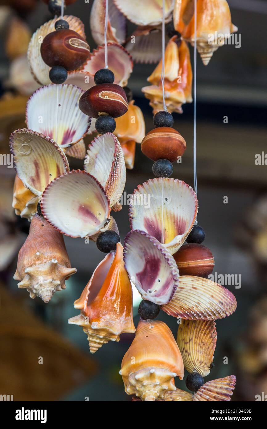 Hanging shells hi-res stock photography and images - Alamy
